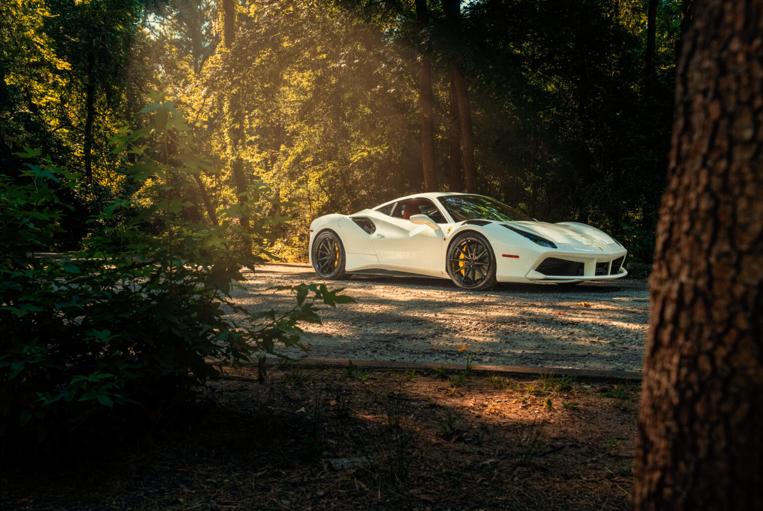 Gallery – FERRADA WHEELS