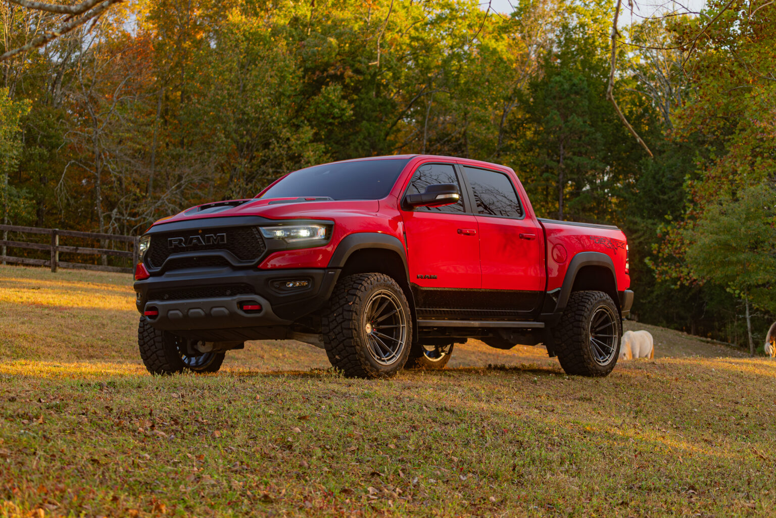 Gallery – FERRADA WHEELS